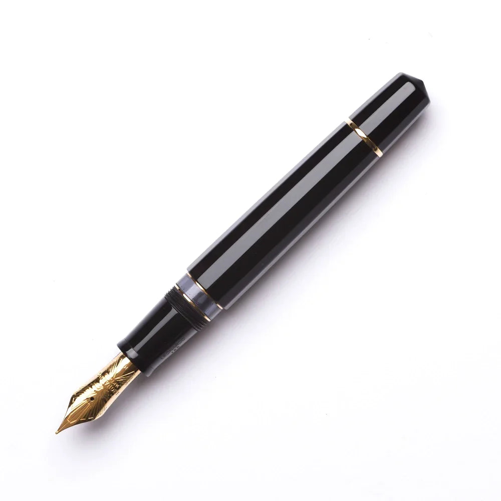 Leonardo Dodici Vulcanica Fountain Pen | Laywine’s