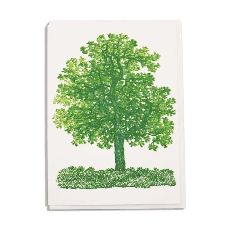 Archivist Oak Tree Note Card